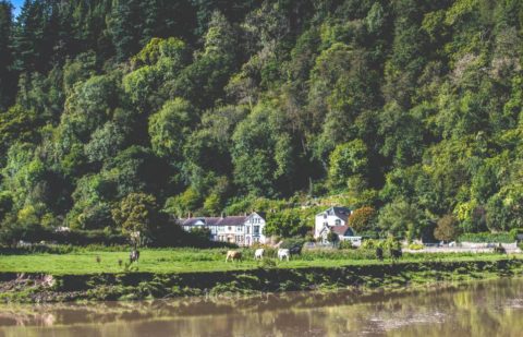 GALLERY | PARVA FARMHOUSE